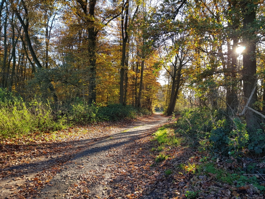 Abgesagt!! Jahreszeitenexkursion: Herbstwärme - Portal Gut Leidenhausen